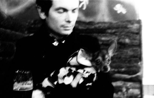 Demons – Anya Bocharova (sush). Portfolio